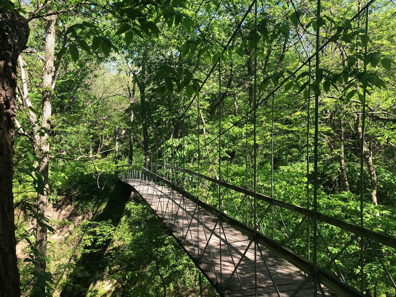 Schramm State Park Recreation Area - Clio